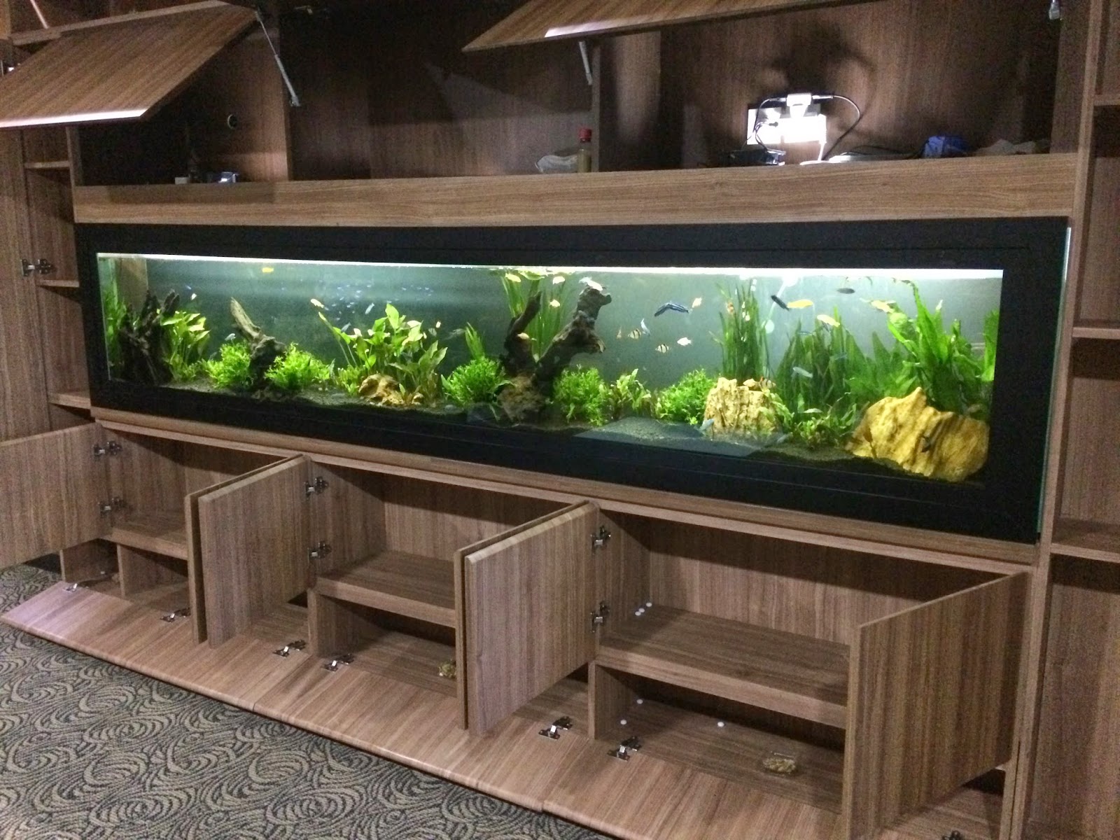 AKUARIUM UNIK: AQUARIUM 3 METER WALL