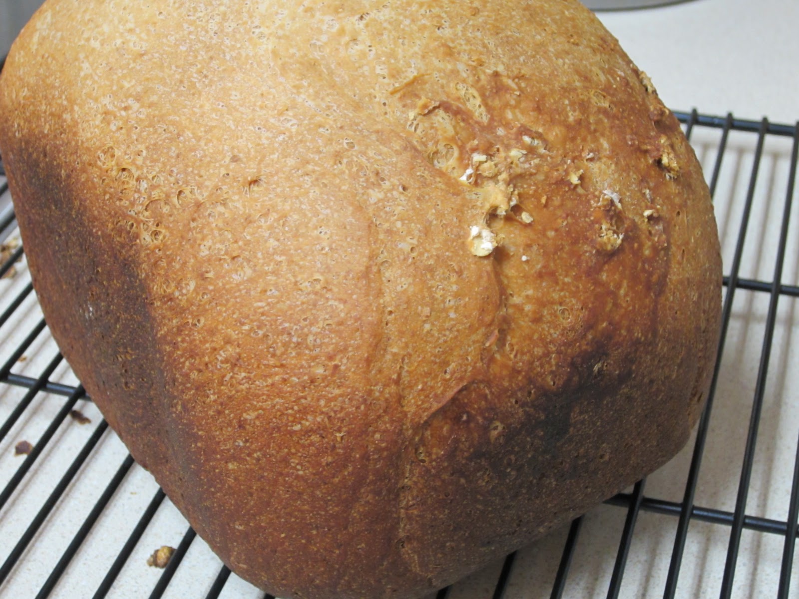 Domestic Diva (in training): Mennonite Oatmeal Whole Wheat Bread
