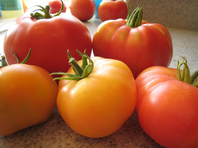 The Way to My Family's Heart: French Tomato Tart