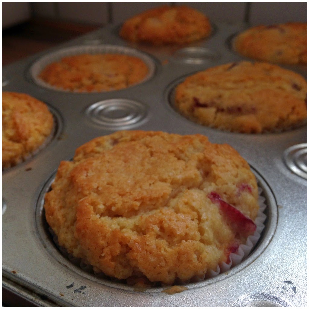 The Stingeries: Norwegian Summer Fruits