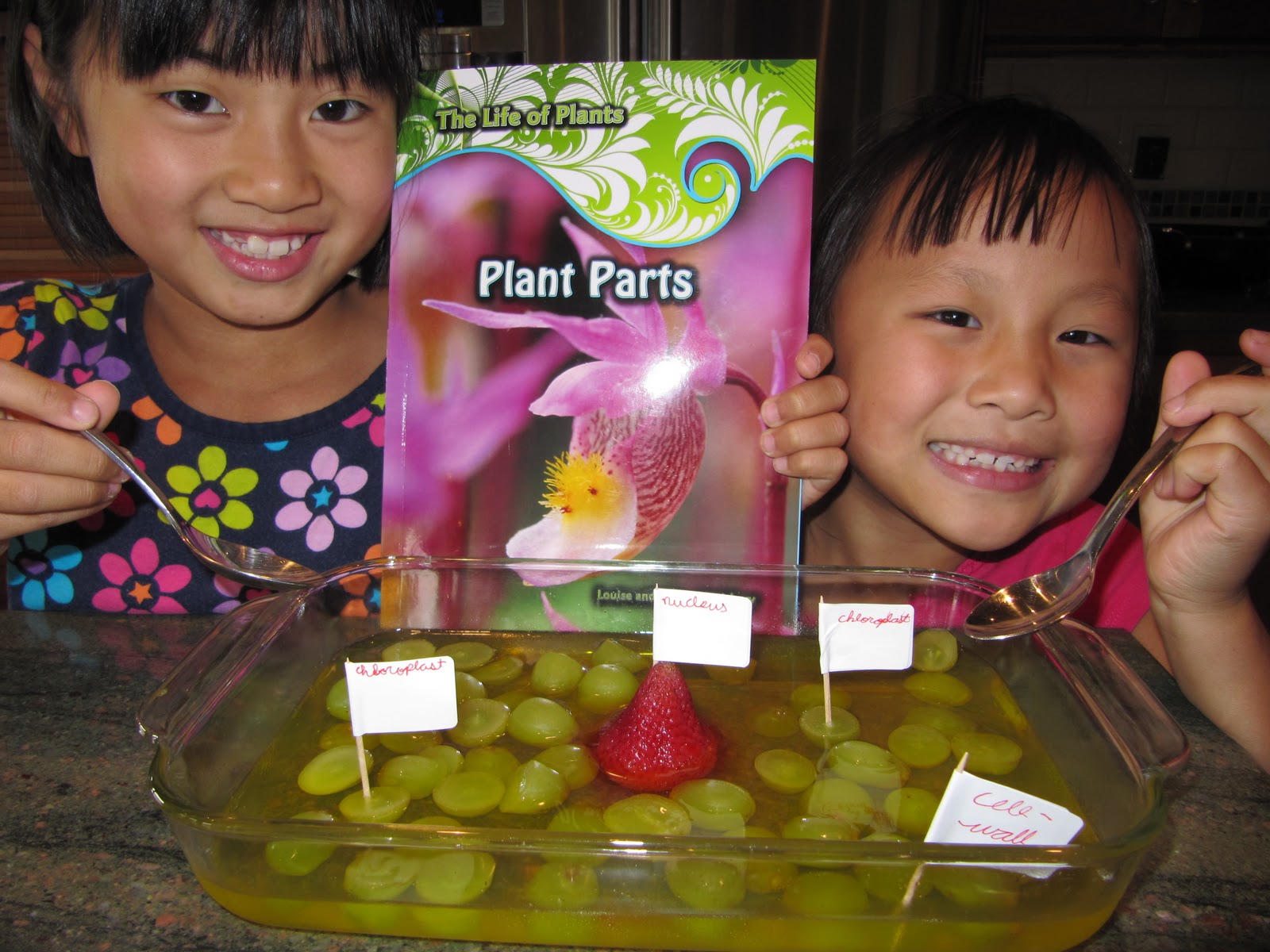 HOMESCHOOL NINJAS: Edible Plant Cell