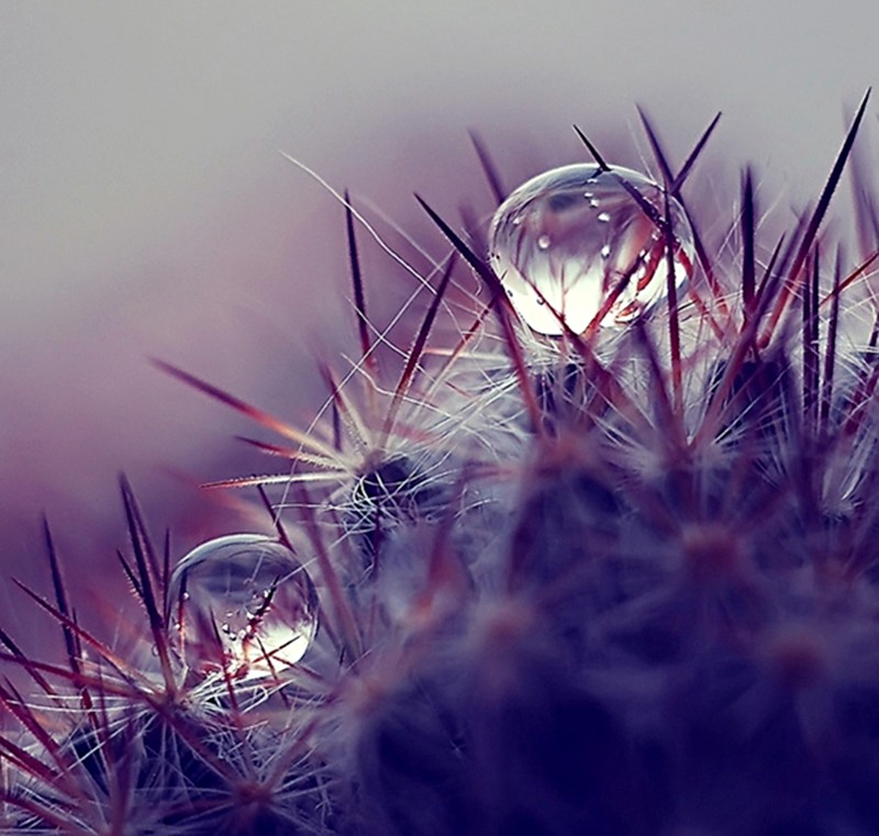 Best WallPapers: Colourful Raindrops Wallpapers