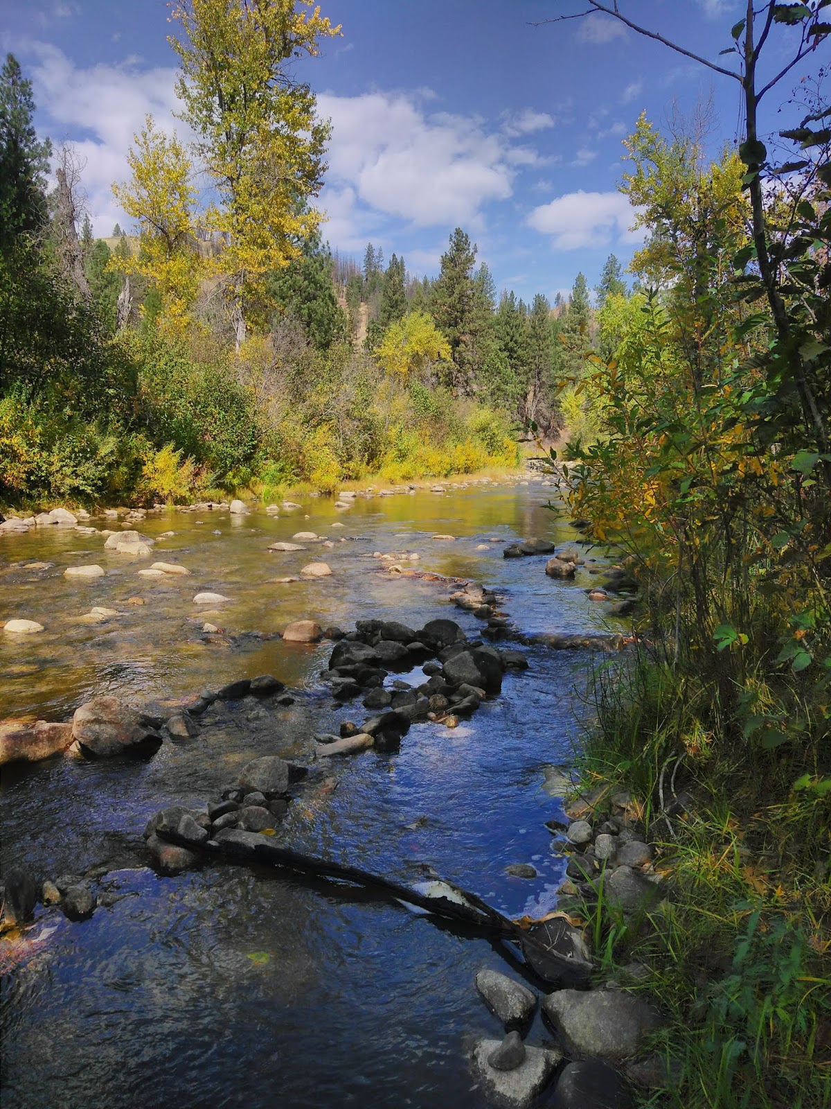 Idaho Rivers And Streams