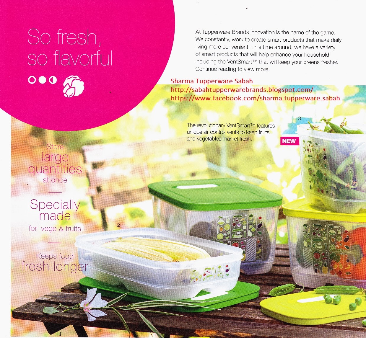 Tupperware Brands Sabah: Tupperware VentSmart System