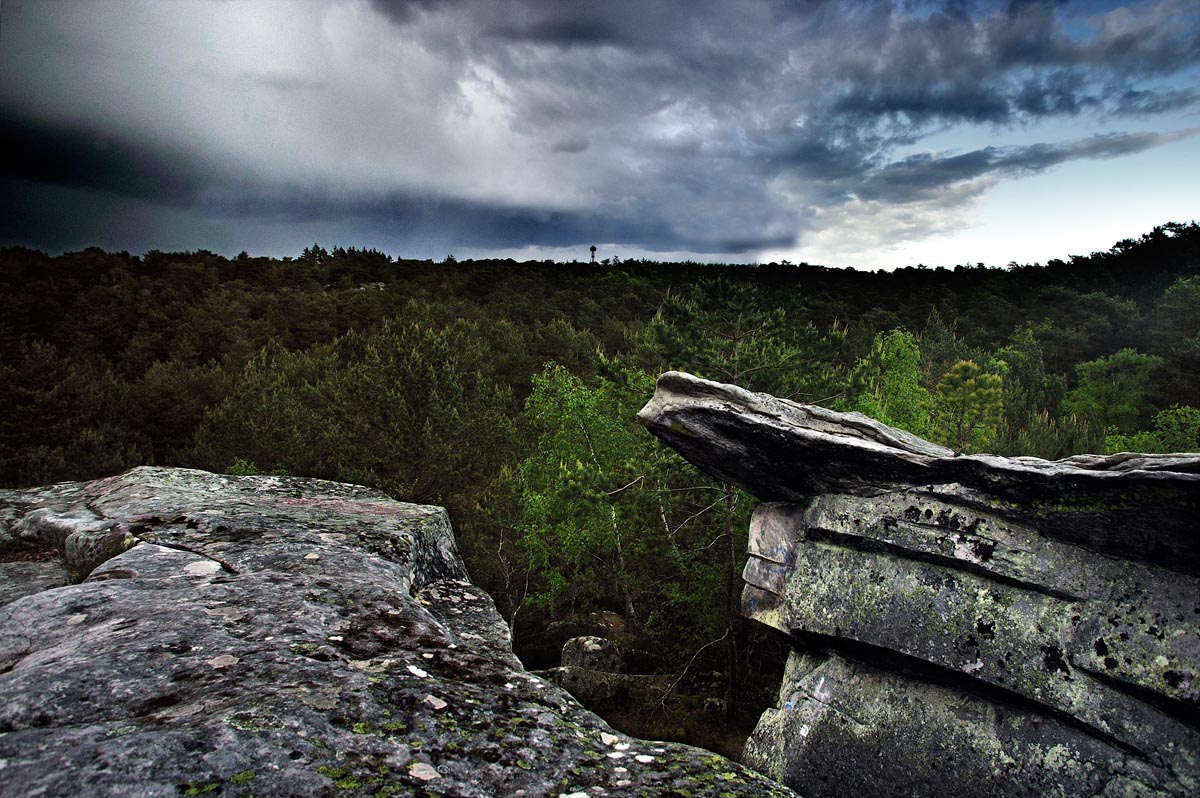 Gorges de Franchard, sentier Denecourt n°7