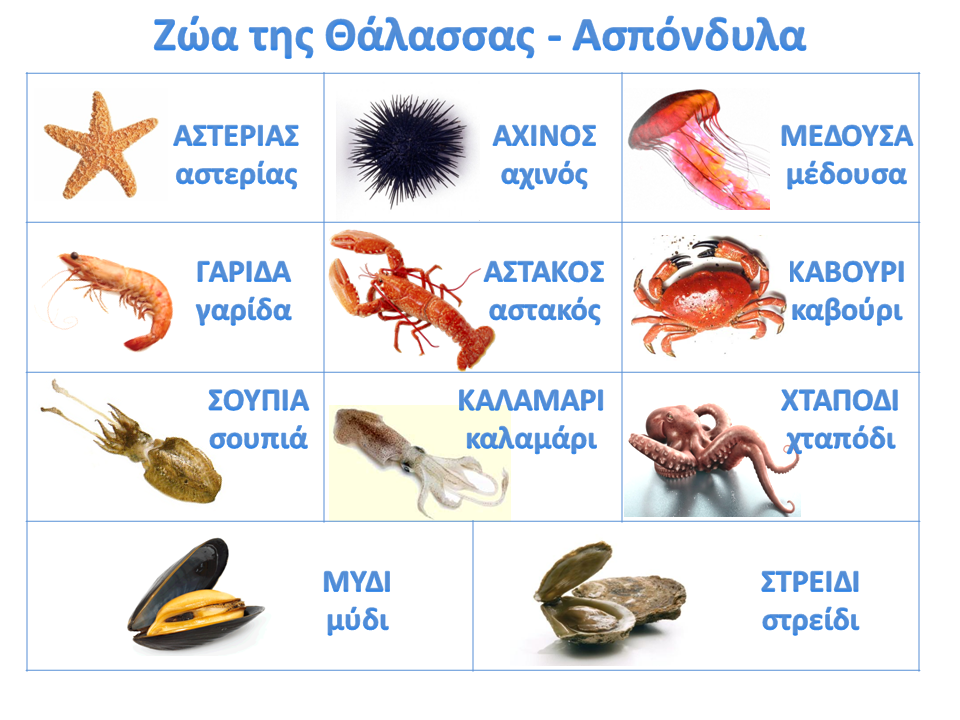 Νηπιαγωγός για πάντα....: Ζώα της Θάλασσας: Πίνακες Αναφοράς