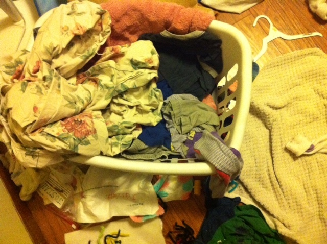 Homemade This and That: Quick Tip #2 -- Laundry