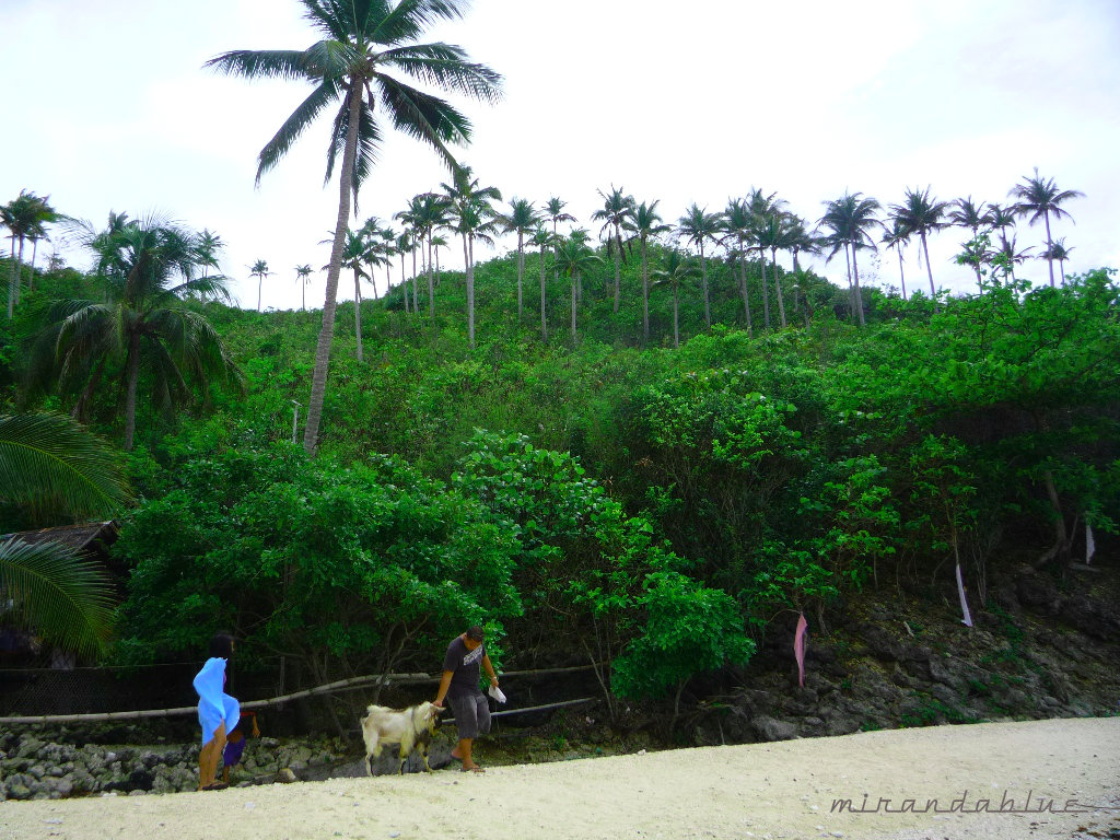 Live in the Moment: P/ABC Wednesday