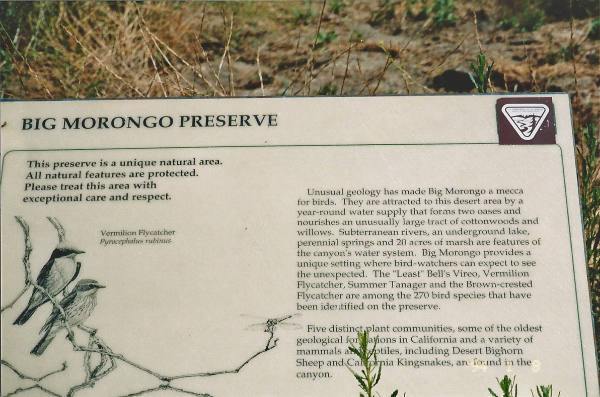 Western Sojourns: Travels with Camissonia: BIG MORONGO CANYON PRESERVE ...