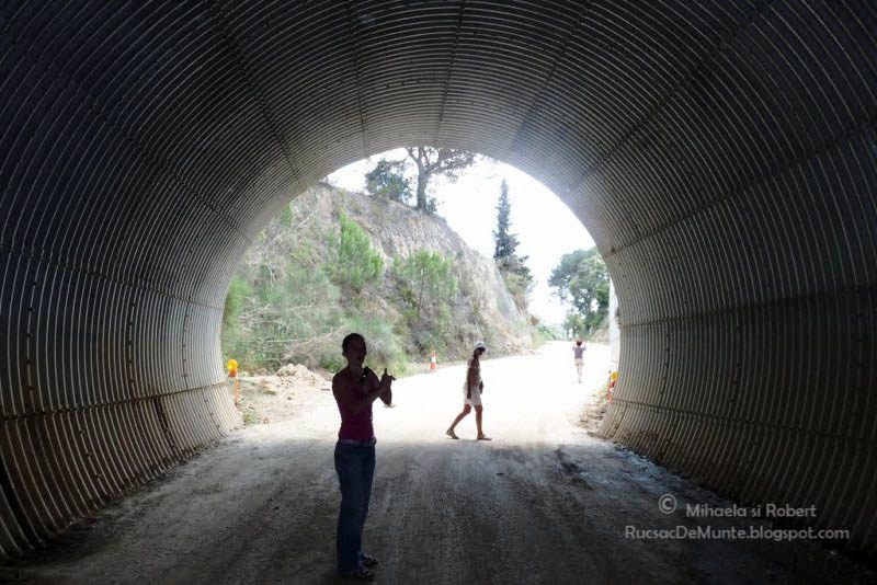 Jurnal de Munte: 2010.06.20 Spania Munti