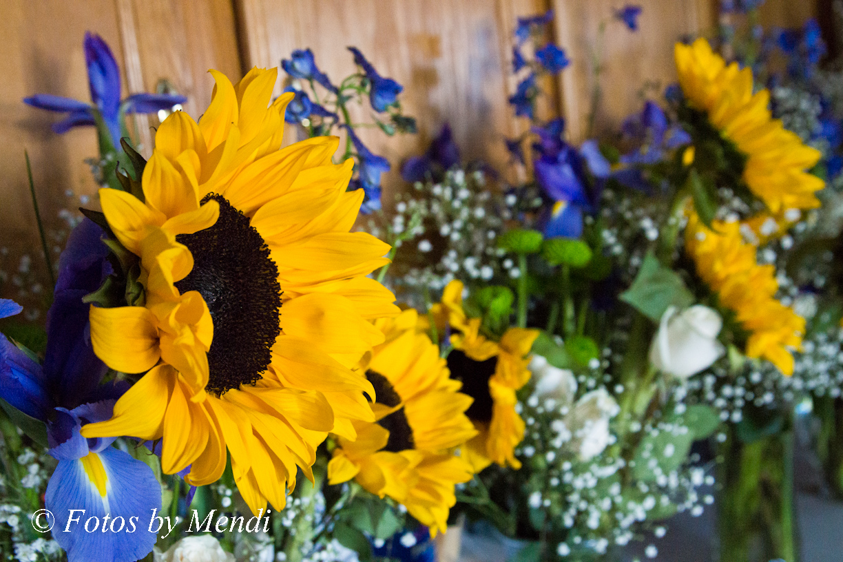 Fotos by Mendi: Wedding pictures preview - Misty and Brandon Roper