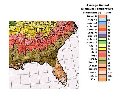 Gardening From the Ground Up: Aug 21, 2011