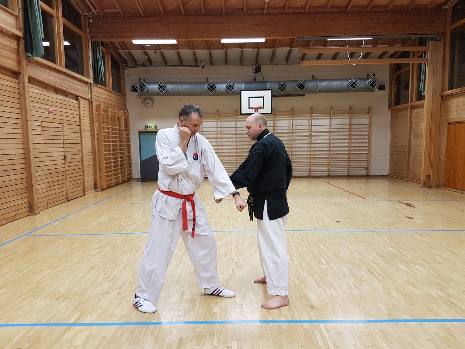 Traditional Taekwondo Ramblings: Taekwondo "Blocks"