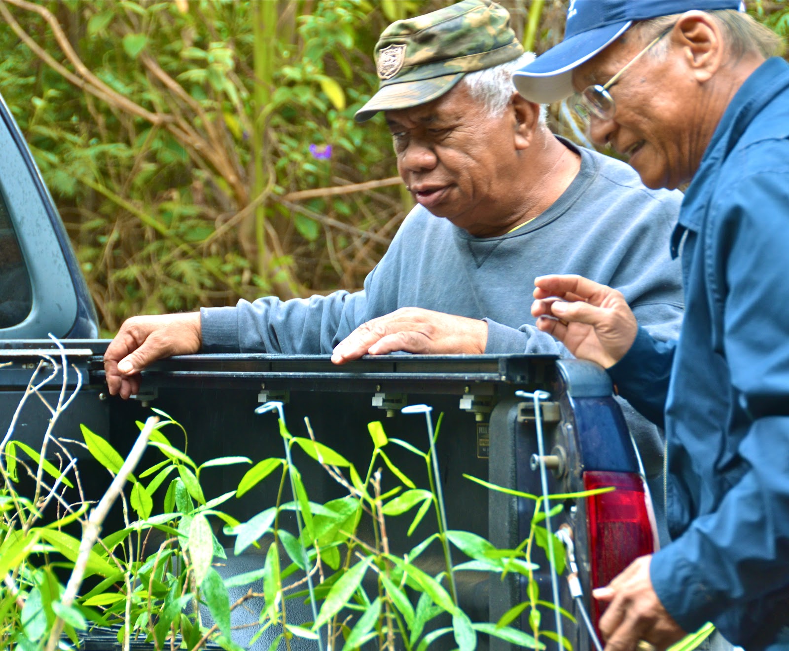 Ke Ala Kai Loa: 2012 in review, and what's up for 2013