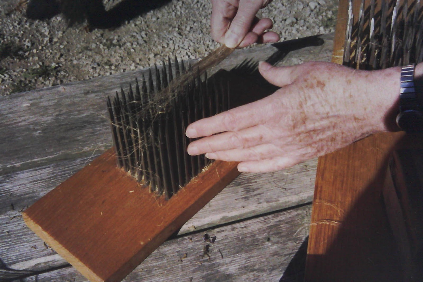 MOSTLY ABOUT FLAX: Growing and Processing Flax (with photos)