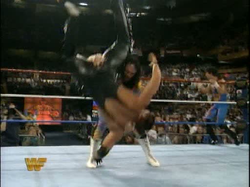 Wrestlemania para siempre: Survivor Series (1993)