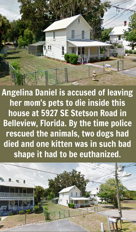 Four legged friends (and enemies): Florida: Angelina Daniel, 20 ...
