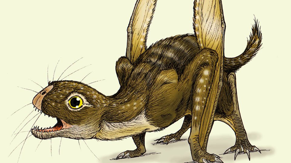 Terra Forming Terra: Vampire Pterosaurs