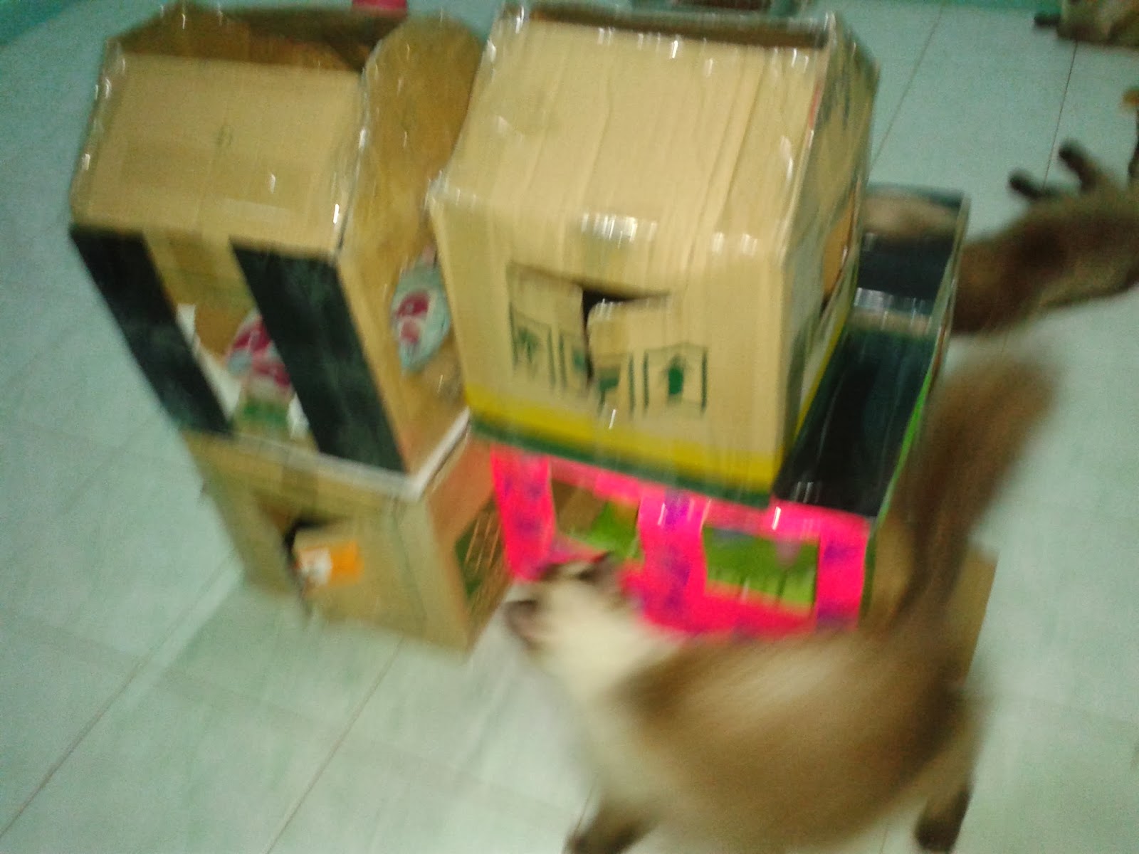 "DUNIA KUCING": RUMAH MAINAN KUCING by Kotak