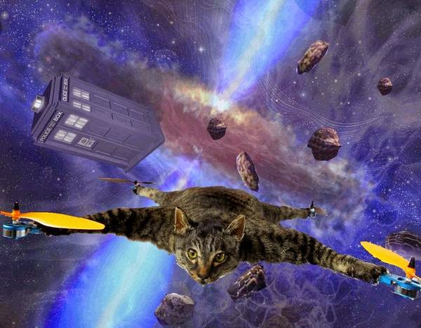 Vídeo: O polêmico "Gato Helicóptero" (CatCopter) - Blog Sequelanet