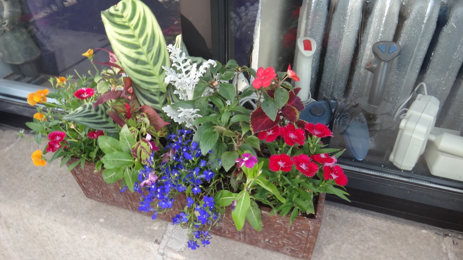 Rogers Park Chamber of Commerce: Tu-Bloom at Quest Network Services