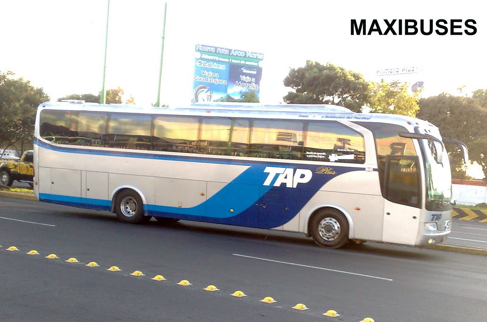 MAXIBUSES: TRANSPORTES Y AUTOBUSES DEL PACÍFICO, PLUS (TAP)