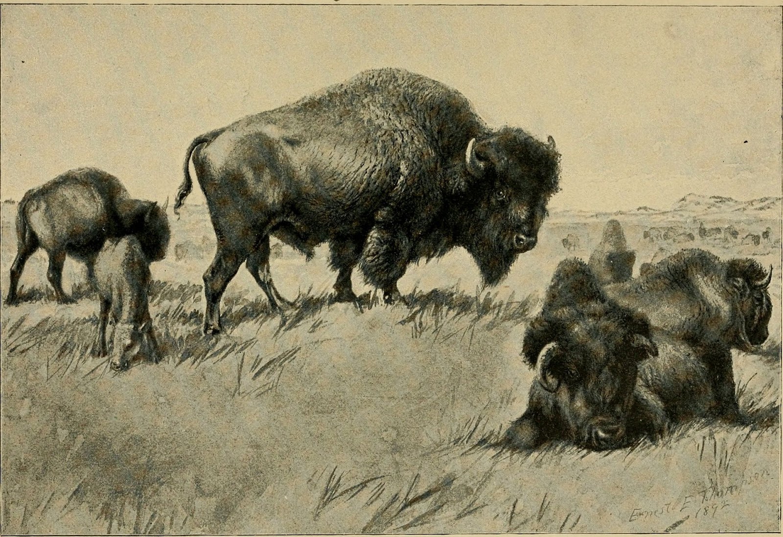 Reading notes: Native American Marriage Tales, Part A