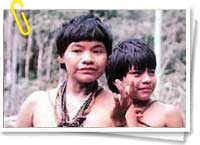 Etnia Los Toromonas - Noticias de Bolivia y el Mundo