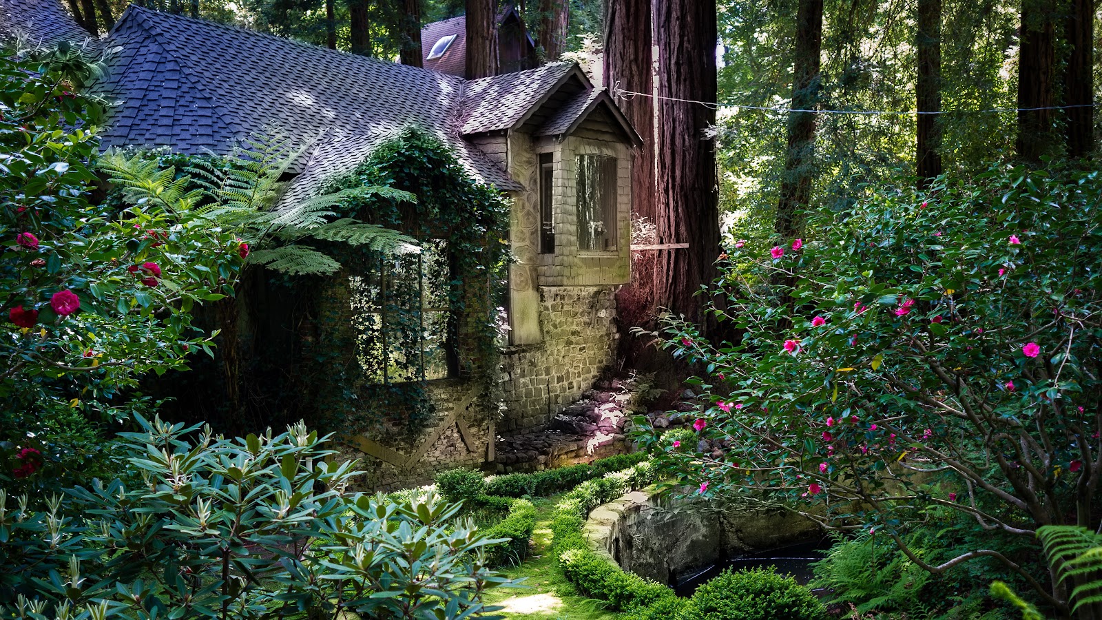 Redwood National Park House 4K 3840x2160 #69 Wallpaper