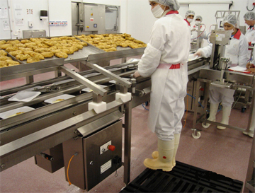 AgriHunt: Food Processing and Value Addition