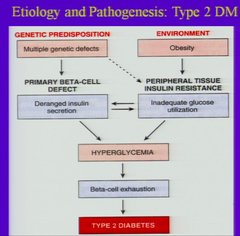 Low Blood Sugar Symptoms: Diabetes Mellitus Type 2 Pathophysiology