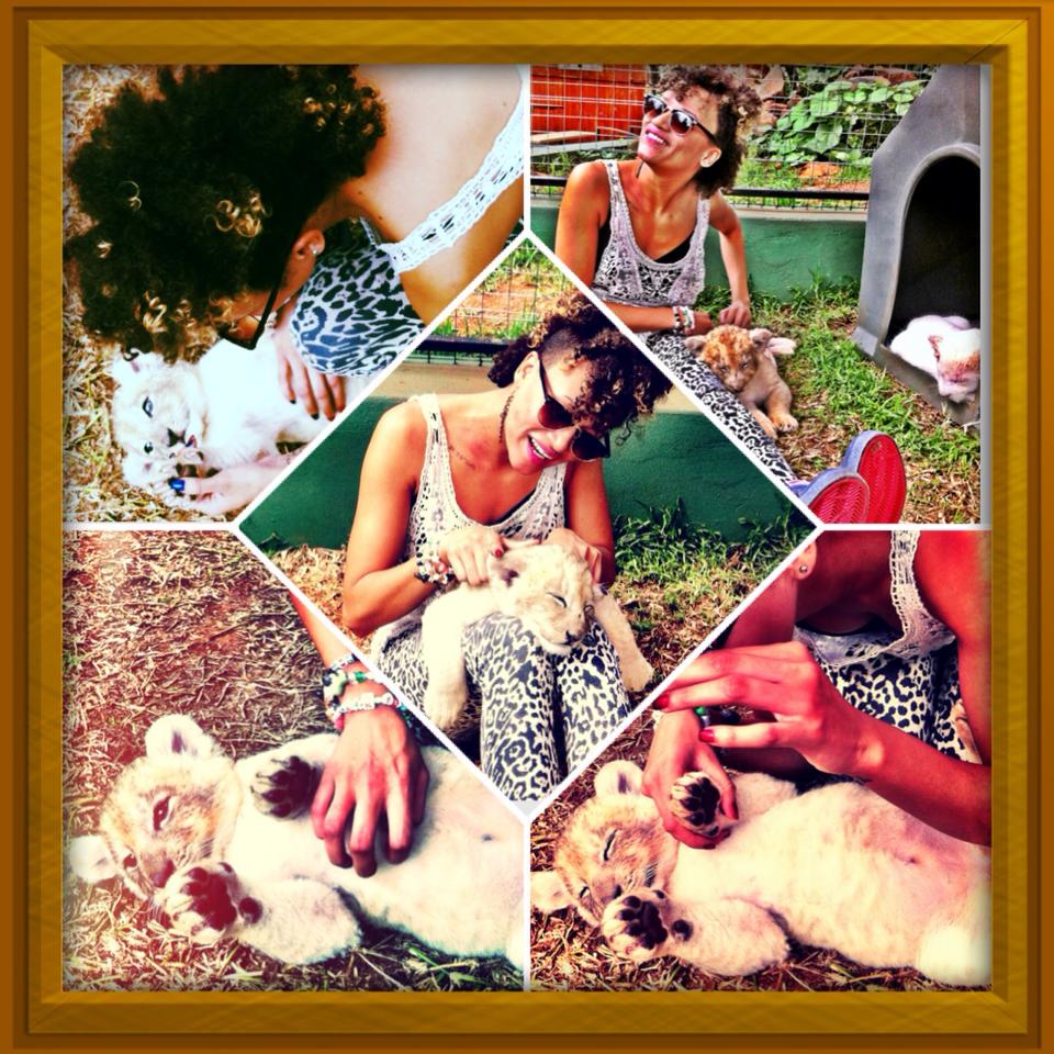 World meets Jenique Hendrix: The strength of a lion is as a great as my ...