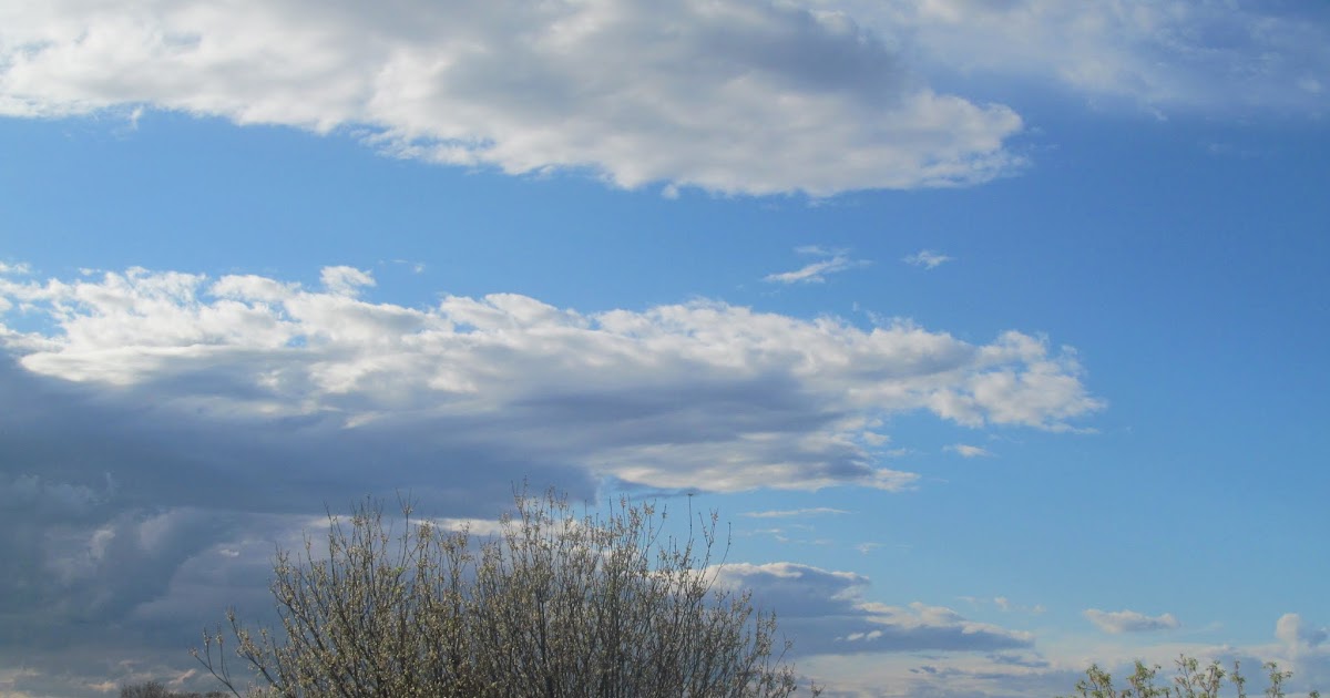 MORNINGTON PENINSULA DAILY: mixed weather...