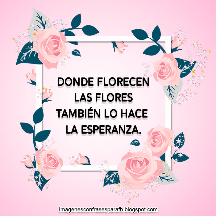 Imagenes Bonitas y Pensamientos Positivos: 20 Frases de la Primavera