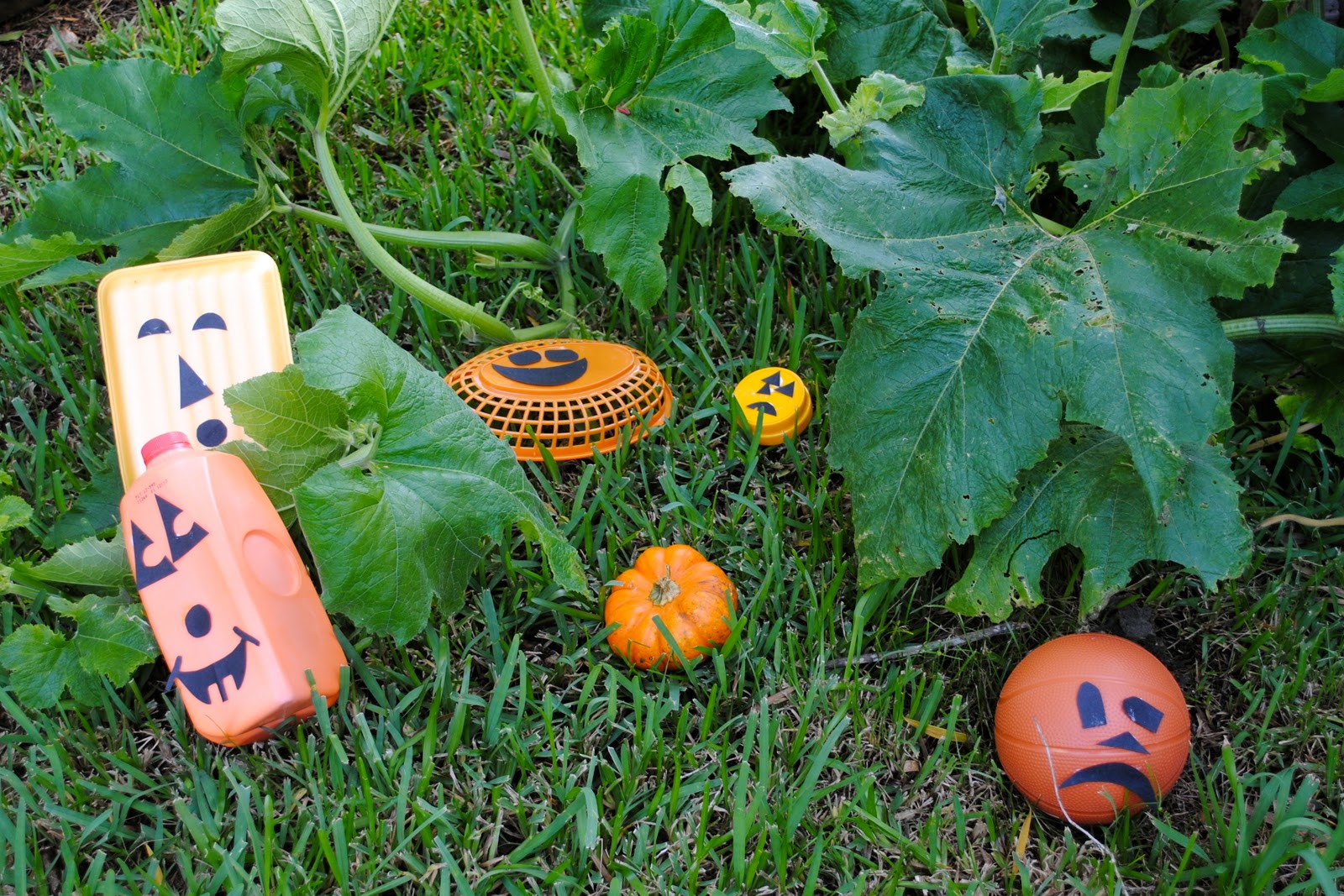 Fall Craft: Upcycled Pumpkin Patch - Our Potluck Family