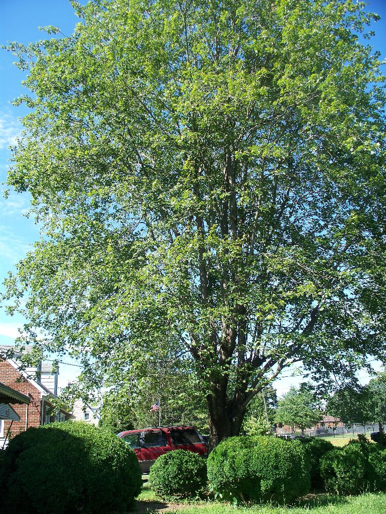 Luvjeordie Studios Blog