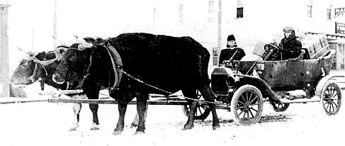 storybrookeripples: ox and dog blog: Technologically Advanced Bennett Buggy