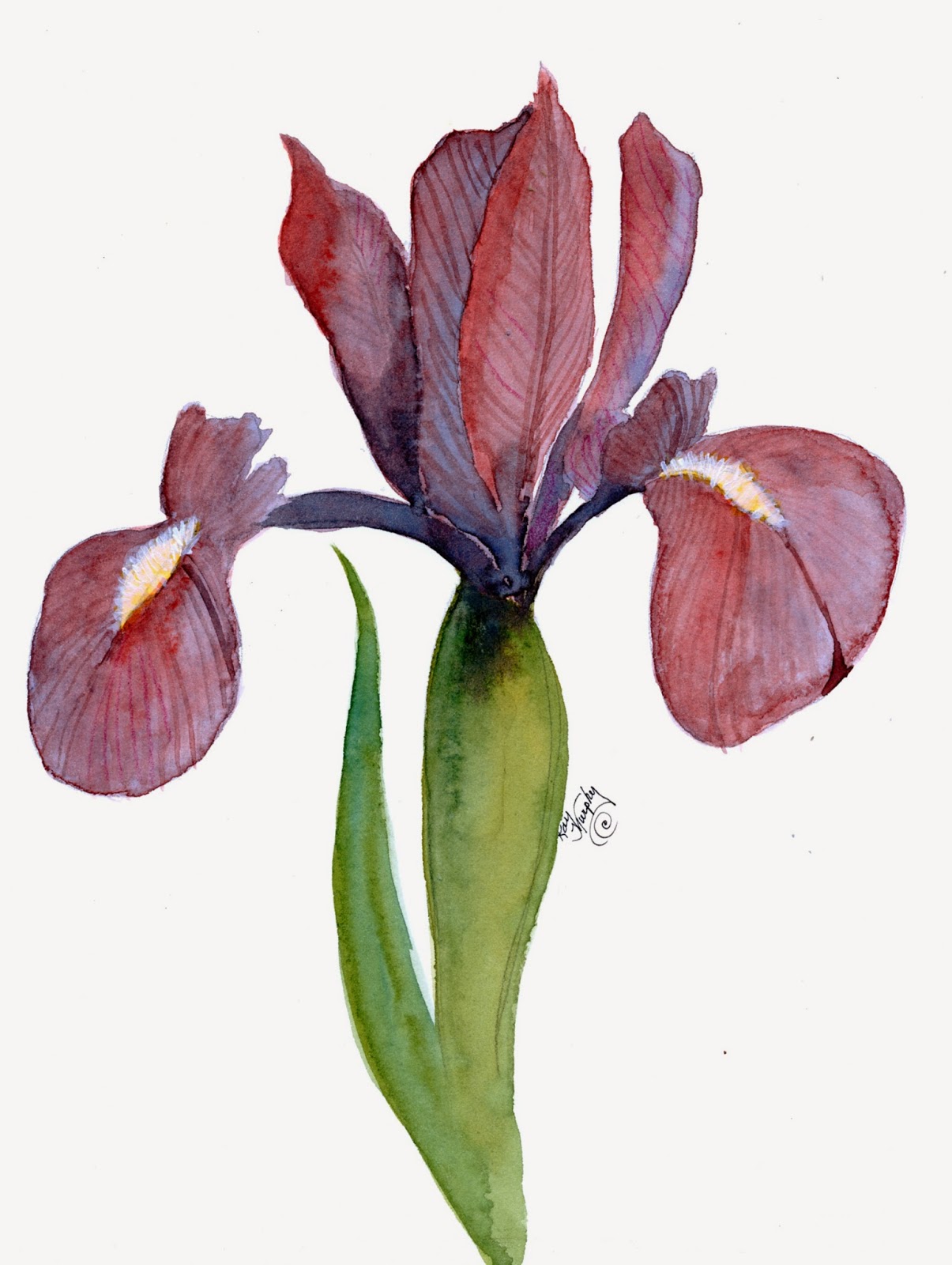 Kay Murphy's Studio Kay Murphy-Wallace:artist: New Designs I have ...