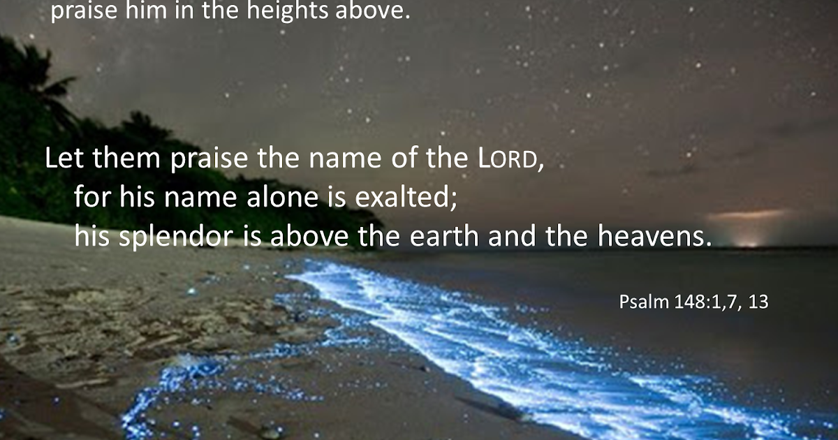 how-in-the-world-calling-the-whole-of-creation-to-join-us-in-worship