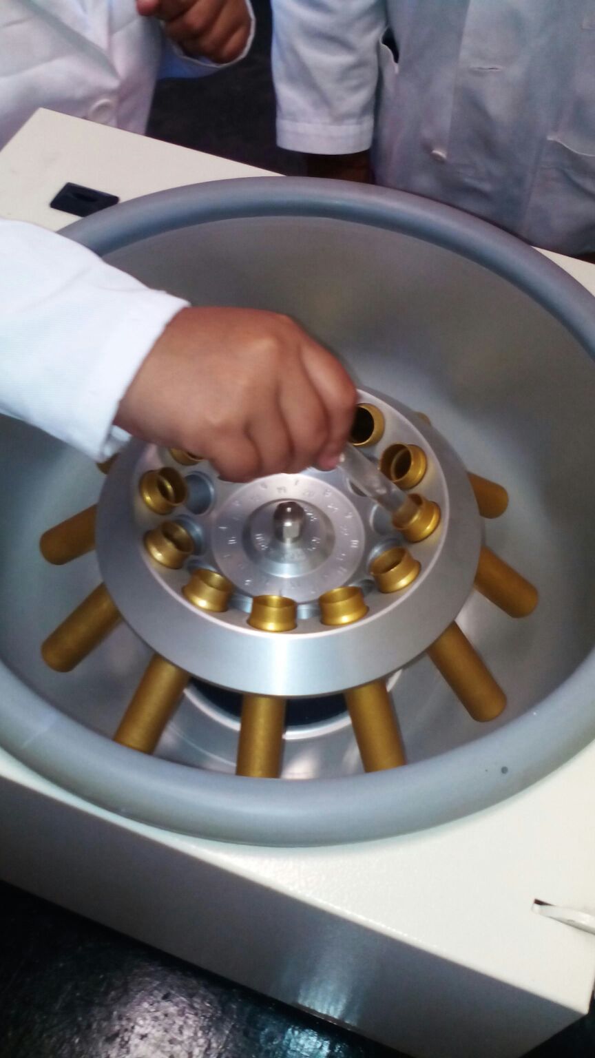 Cualitativo-A Itzel Rendon Fernandez: 2015