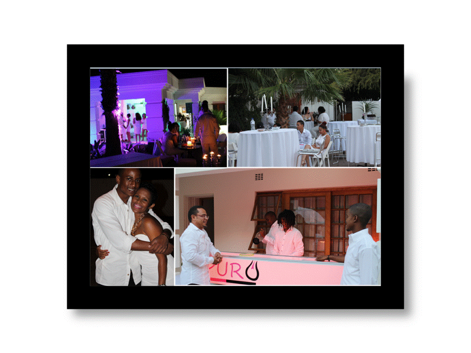 PURO Mobile Bar: PURO INTRO