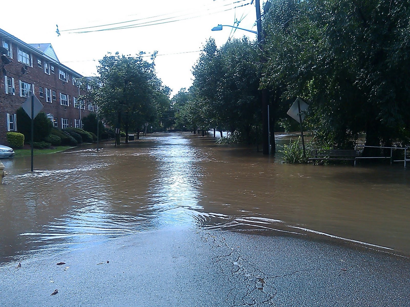 WE SURVIVED IRENE! • Kat Loves Kale