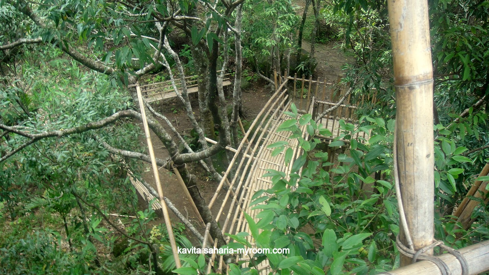 my room: Sky View : Mawlynnong the cleanest village in Asia