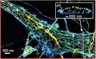 The Cellular Scale: 2013