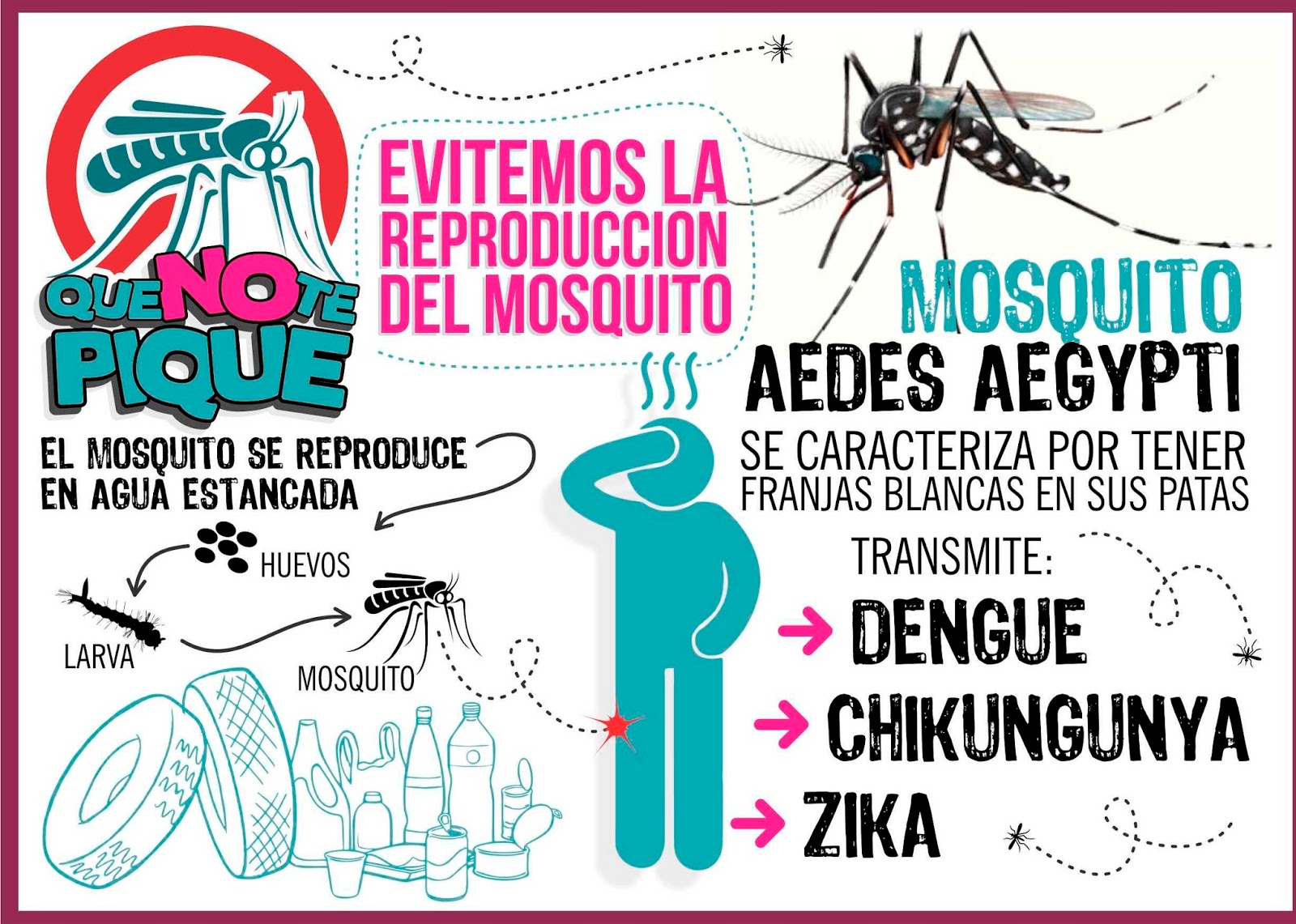 NOTISENA RISARALDA: Prevención de enfermedades por vectores zika ...