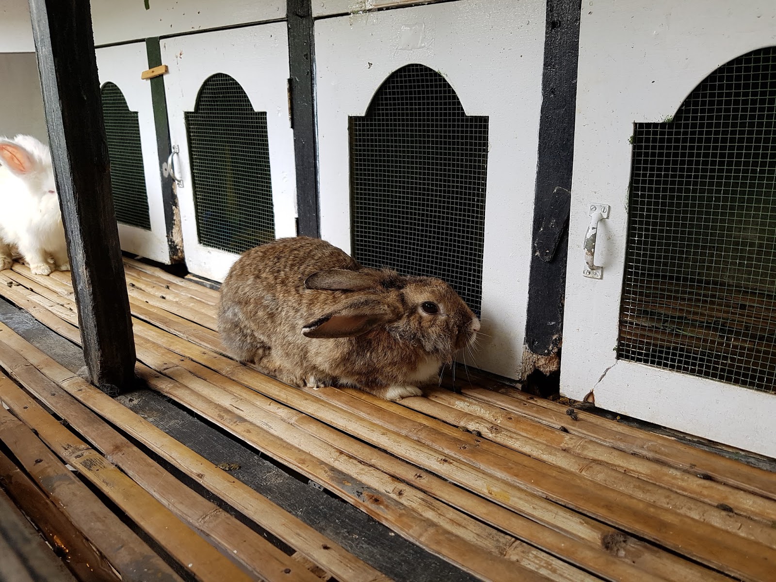 MYLIFEMYPRIMARYPLAN: 2017