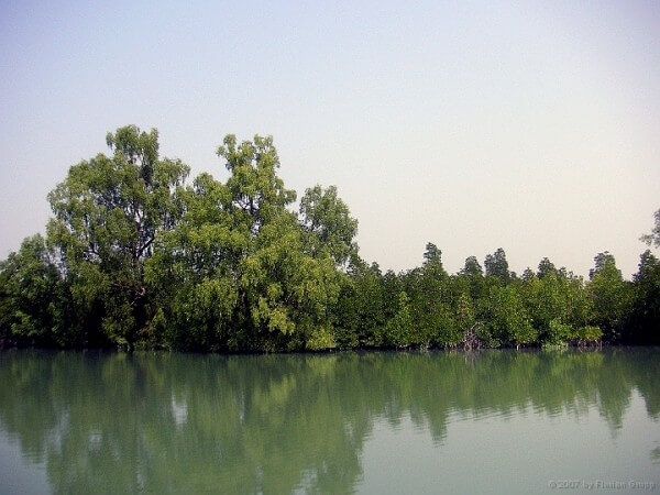 Ramree Island - 'The House of the Crocodile' | Vietnam travel blog