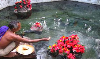 Vanshîká: Deulajhari