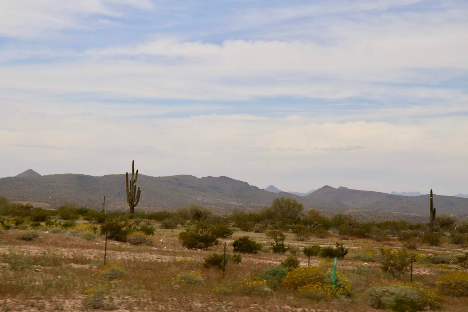 Scenic Arizona - Brianne Sieberg