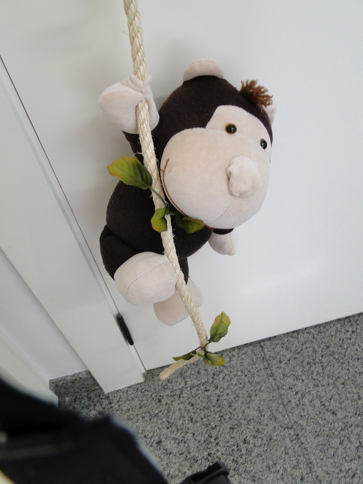 Studio Vanilla Baby: MACACO PENDURADO NA CORDA